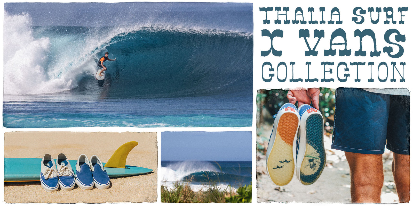 Thalia Surf Shop has everything you need when it comes to surf.